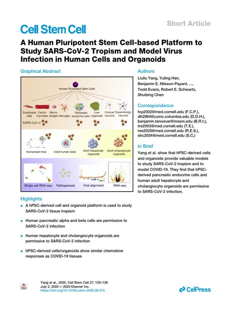 A Human Pluripotent Stem Cell-Based Platform To Study SARS-CoV-2 ...