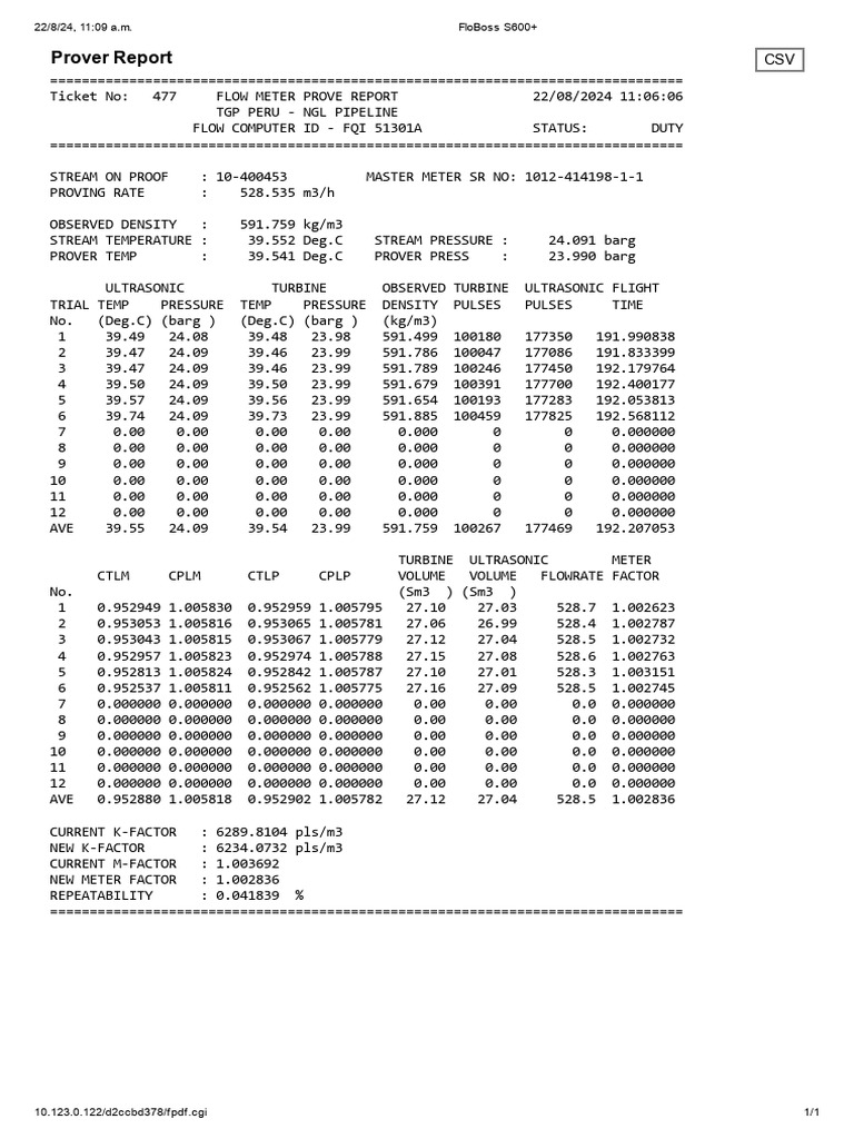 Flow Meter Prove Report - TGP Peru | PDF | Liquids | Dynamics (Mechanics)