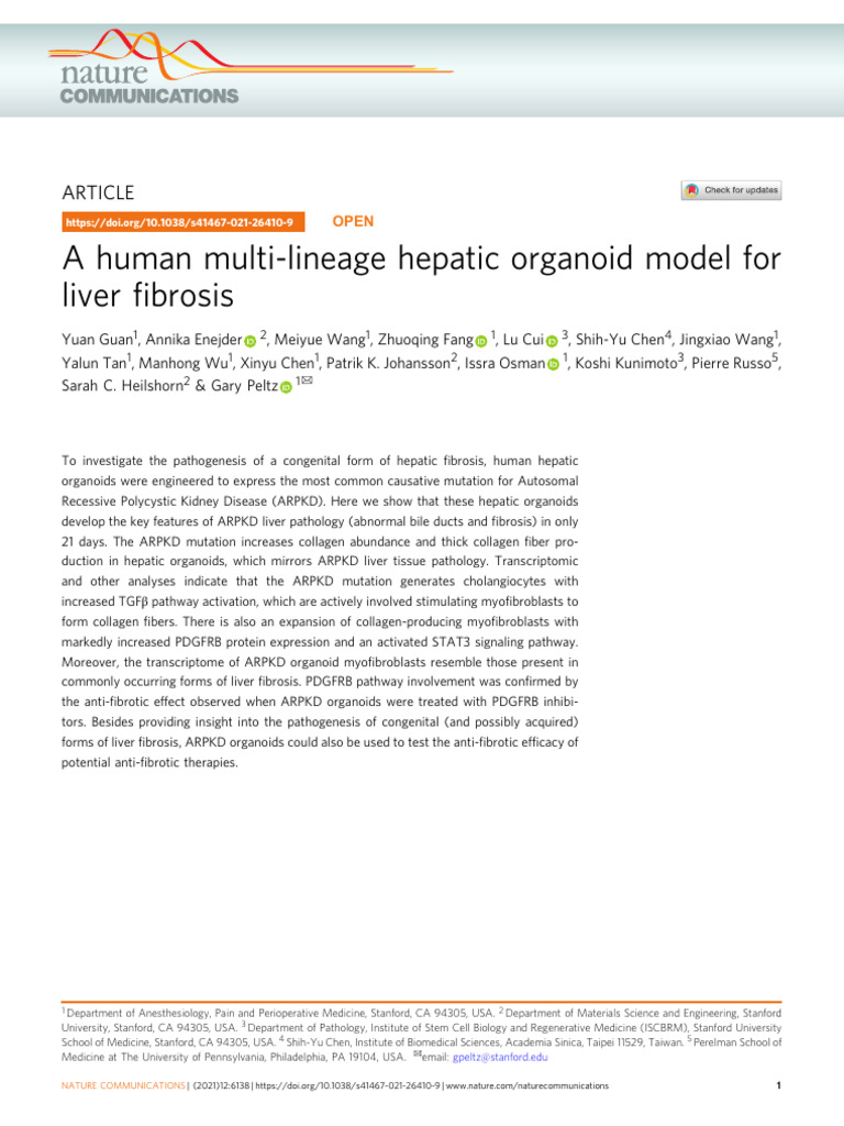 A Human Multi-Lineage Hepatic Organoid Model For Liver Brosis | PDF ...