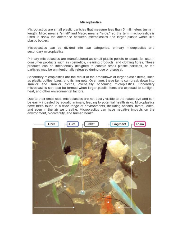 Primary School - Microplastics | PDF | Plastic | Environmental Science