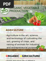 Pechay Growth and Production Guide | PDF | Sowing | Seedling