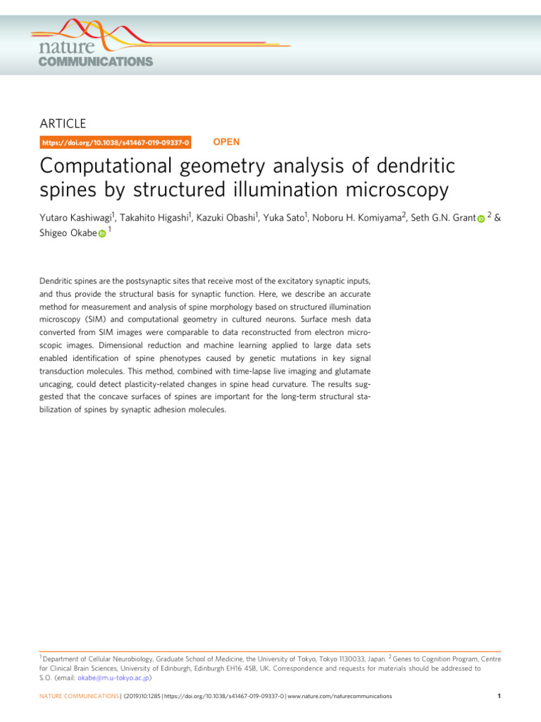 Computational Geometry Analysis of Dendritic Spines by Structured Illumination Micros | PDF ...