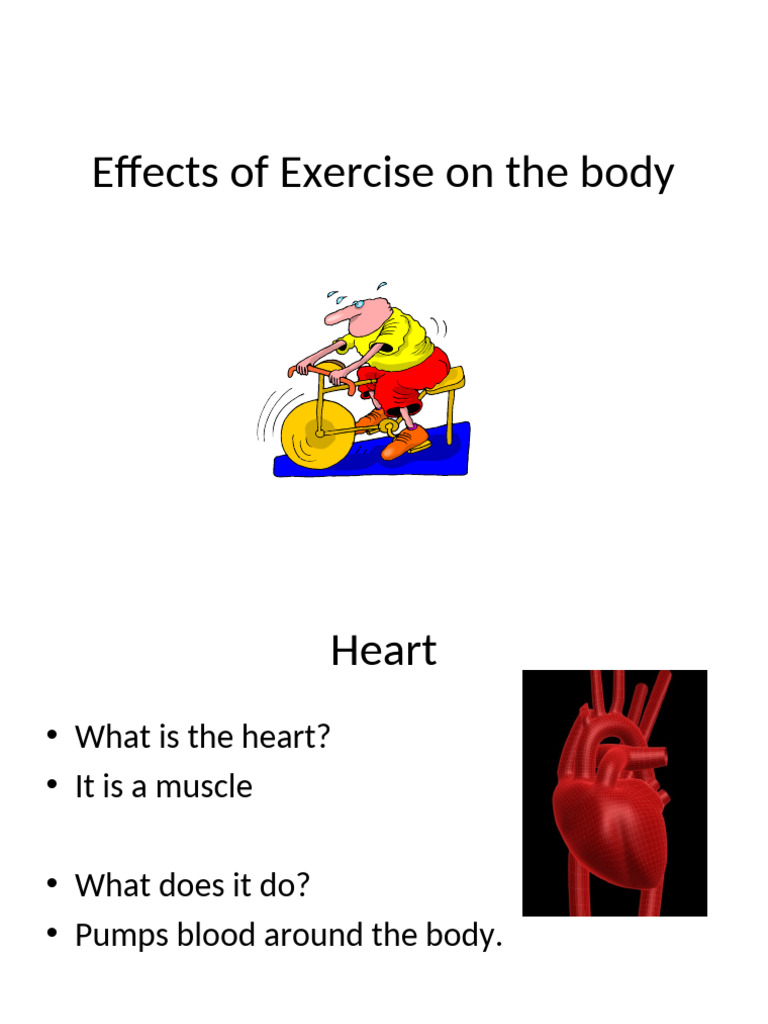 Effects of Exercise On The Body | PDF