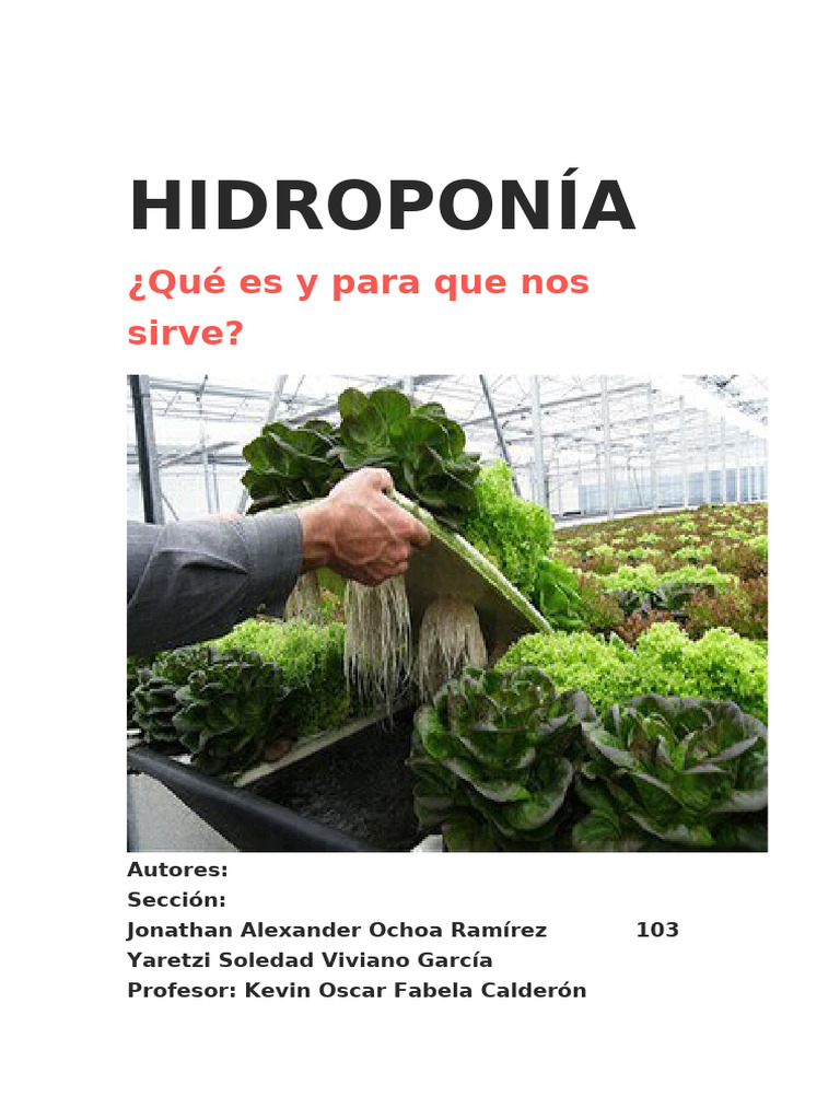 Hidroponía | PDF | Hidroponia | Agricultura