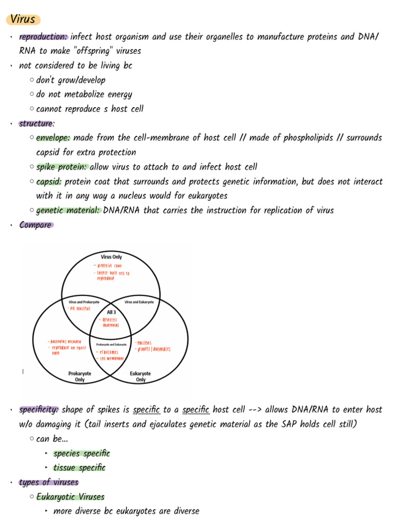 Viruses: Structure, Reproduction, and Biotech | PDF | Virus | Bacteriophage
