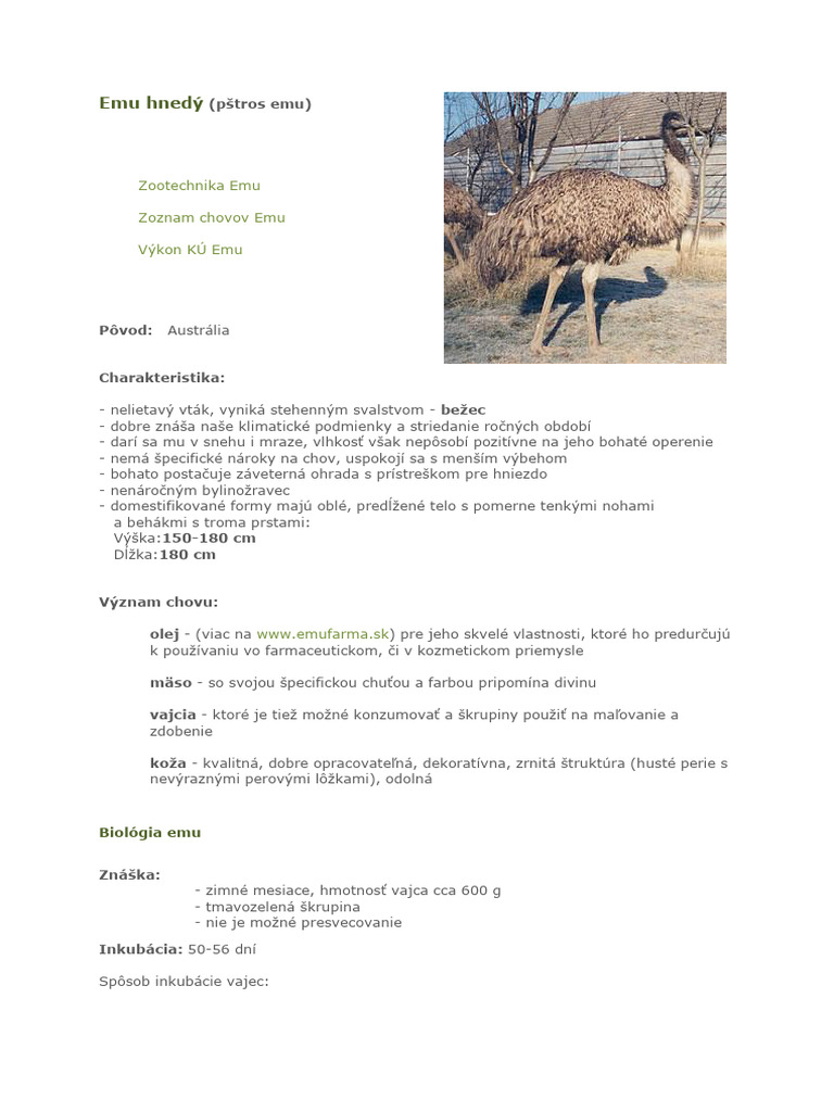 Emu Hnedý: Zootechnika Emu Zoznam Chovov Emu Výkon KÚ Emu | PDF