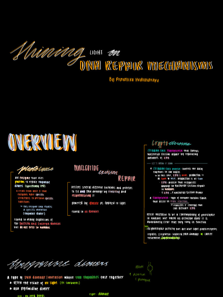 Shining Light On DNA Repair Mechanisms | PDF | Dna Repair | Dna