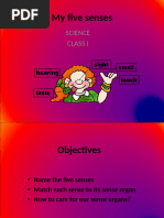 5 Senses Booklet | PDF