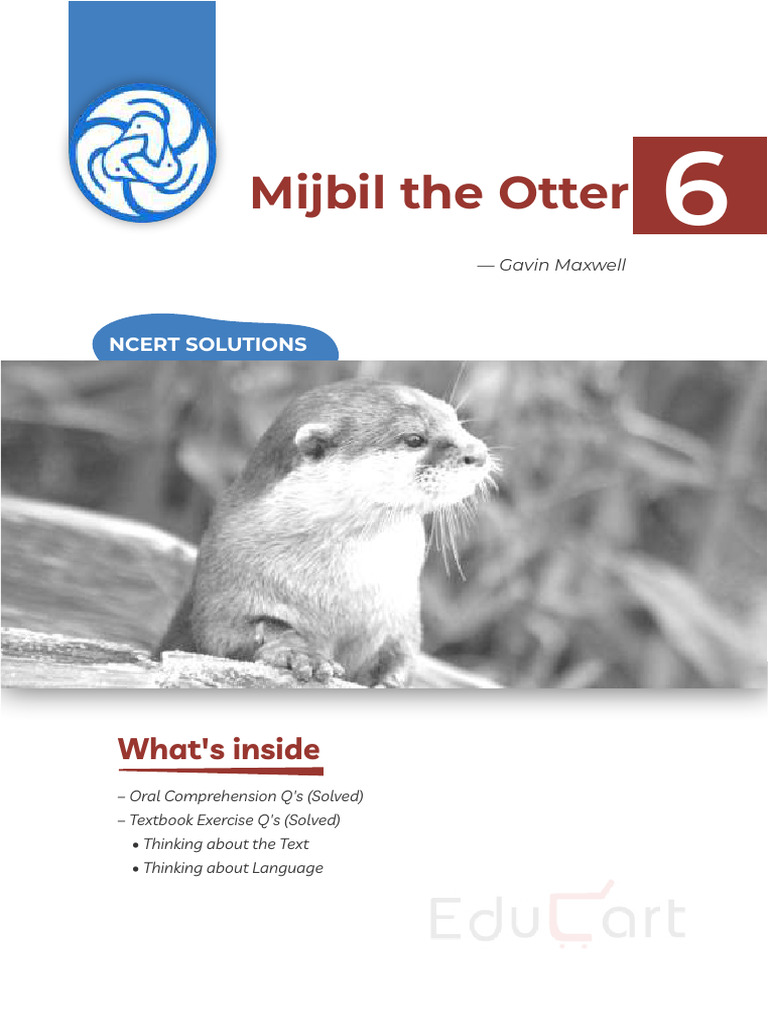 Mijbil the Otter: NCERT Solutions | PDF | Adjective | Noun