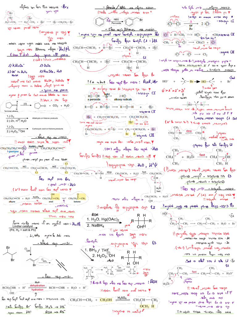 Unnamed Document (1) 2 | PDF