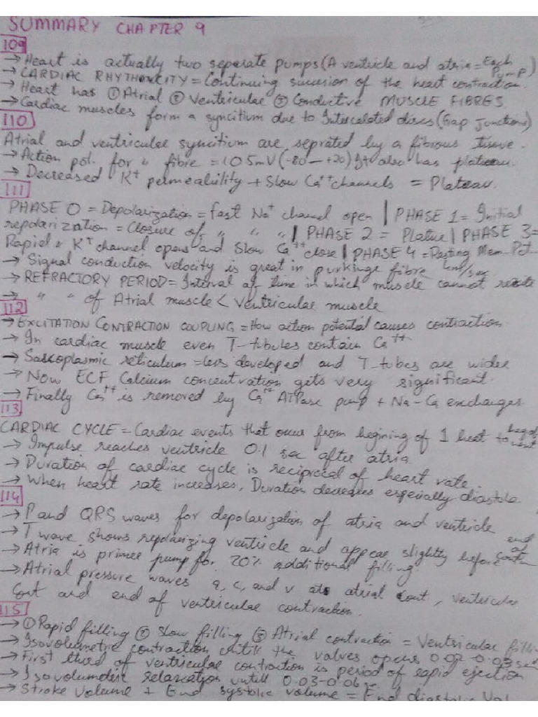 Heart Physiology Mbs | PDF