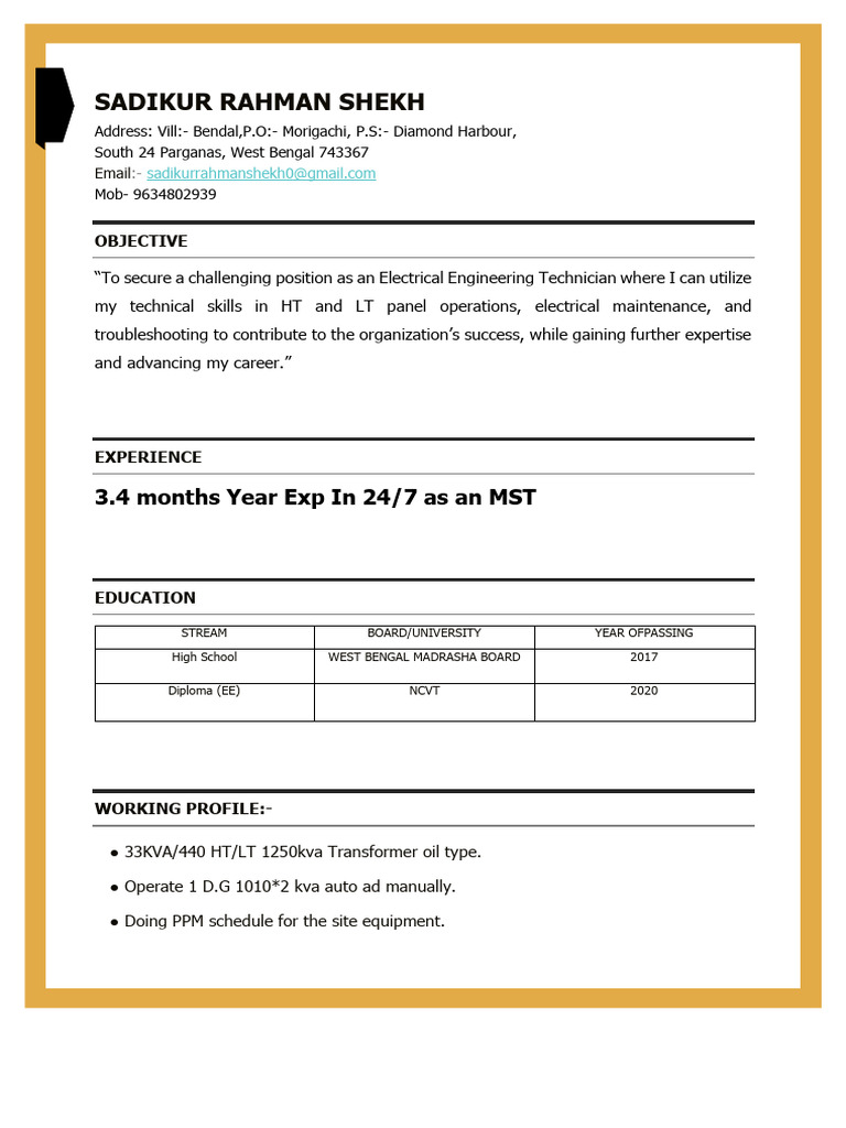 MST Resume | PDF