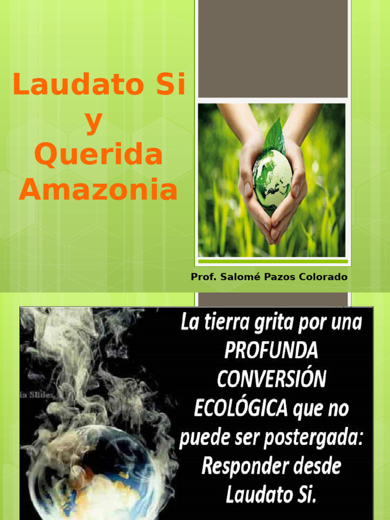 Ludato Si y Querida Amazonia | PDF