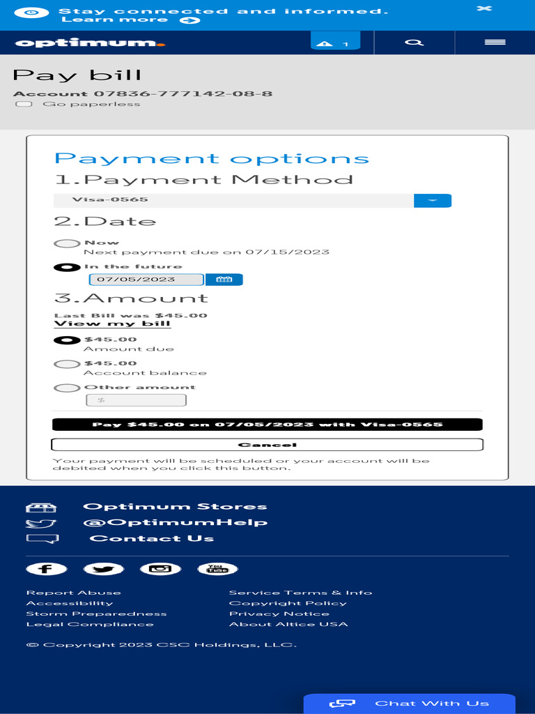 Optimum Payment Options | PDF