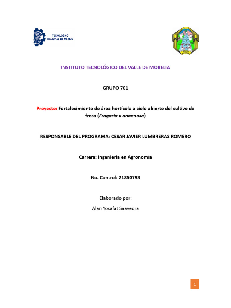 Provecto Cultivo Fresa A Cielo Abierto | PDF | Agricultura | Riego