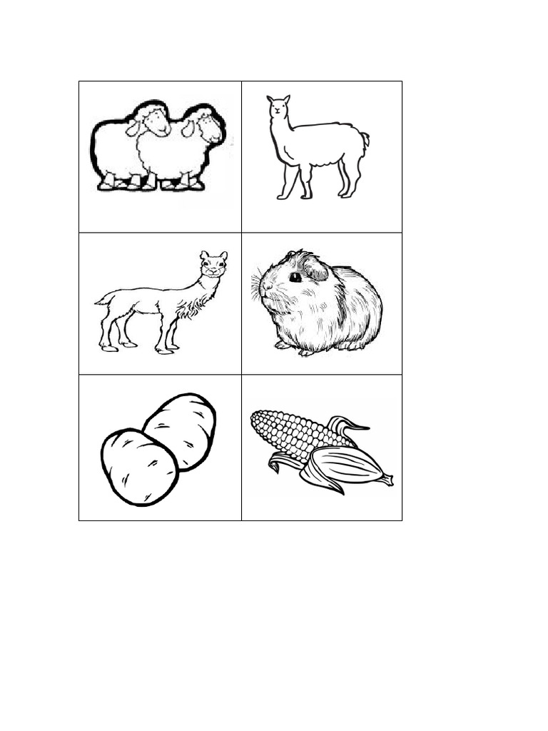 Imagenes Raffa | PDF