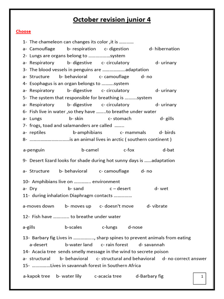 October Revision Junior 4 2025 | PDF | Respiratory System | Senses