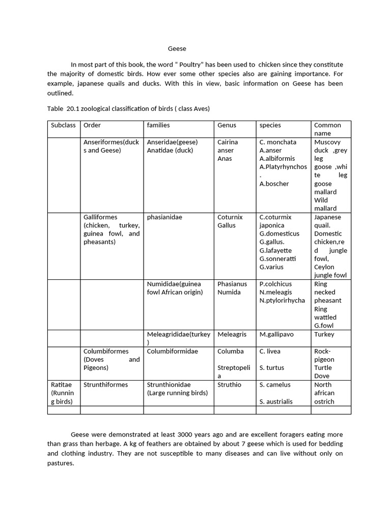 Geese | PDF | Nutrients | Birds