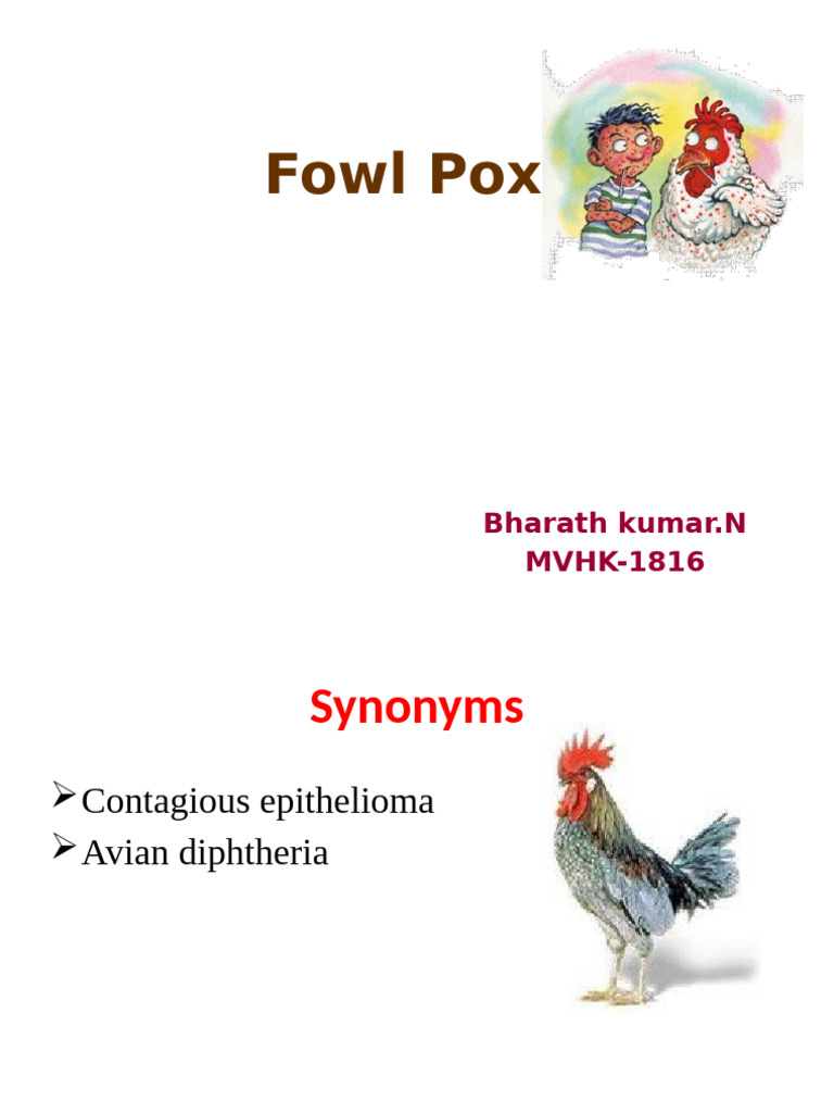 Fowl Pox: Symptoms and Prevention | PDF | Epidemiology | Clinical Medicine