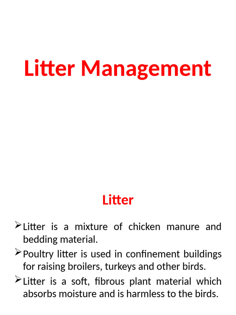 Litter Management | PDF | Manure