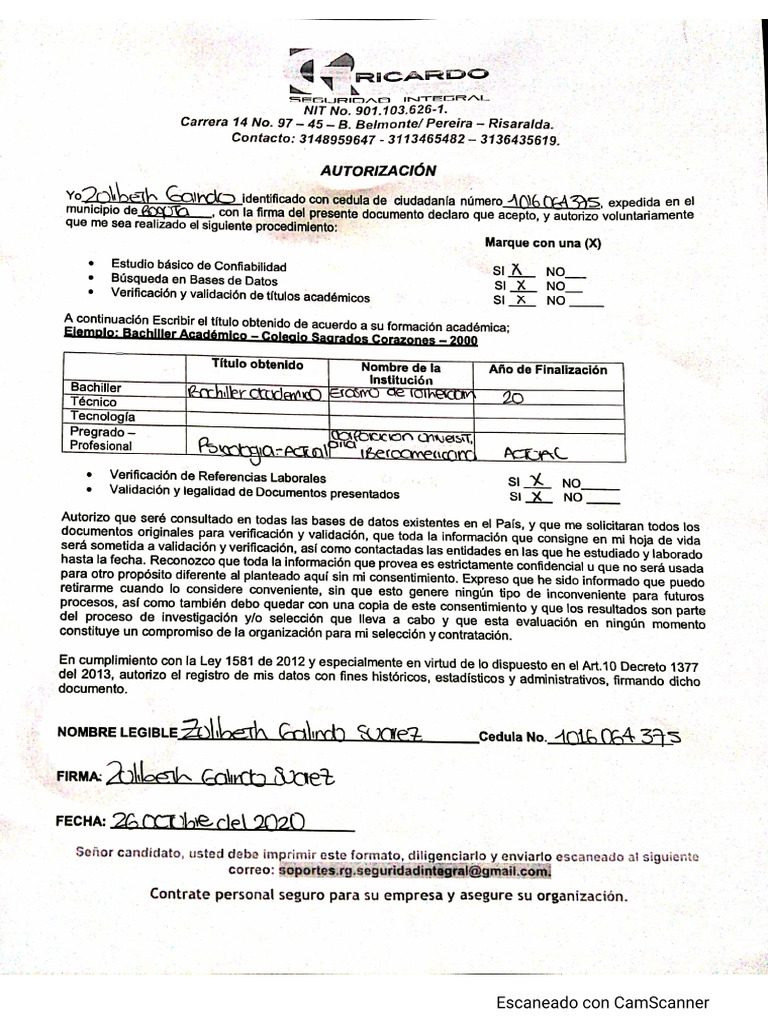 Documentos Zuli | PDF
