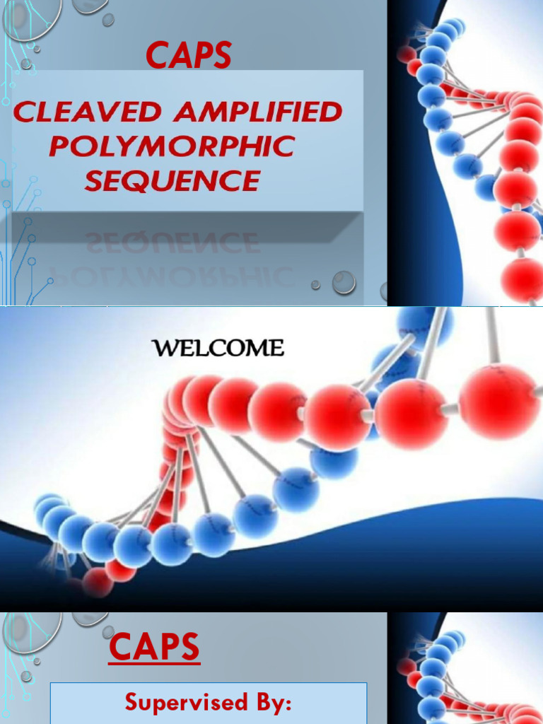 Hind Fadel Abbas CAPS | PDF