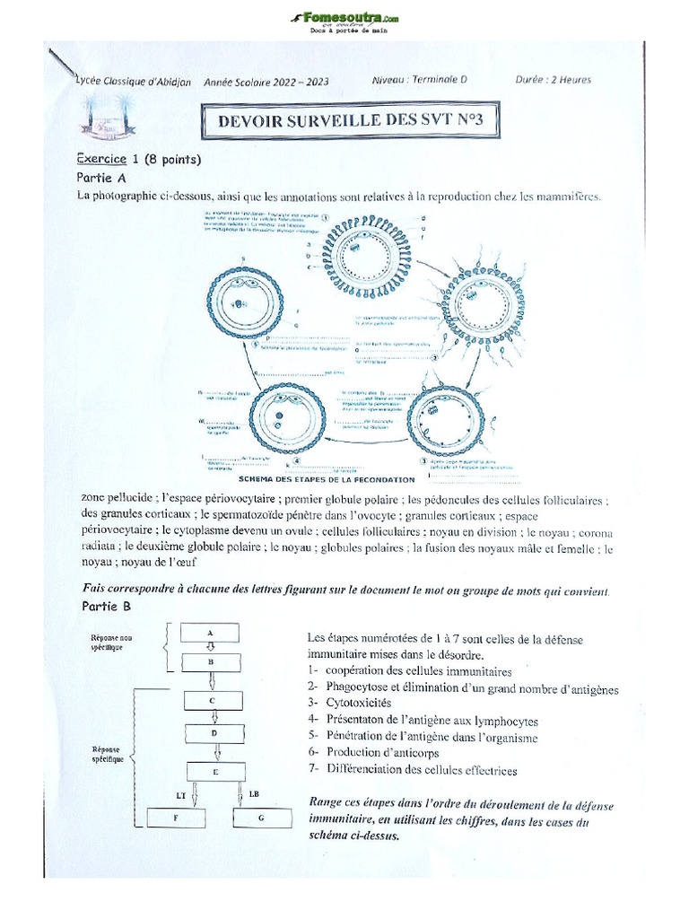 SVT TD | PDF