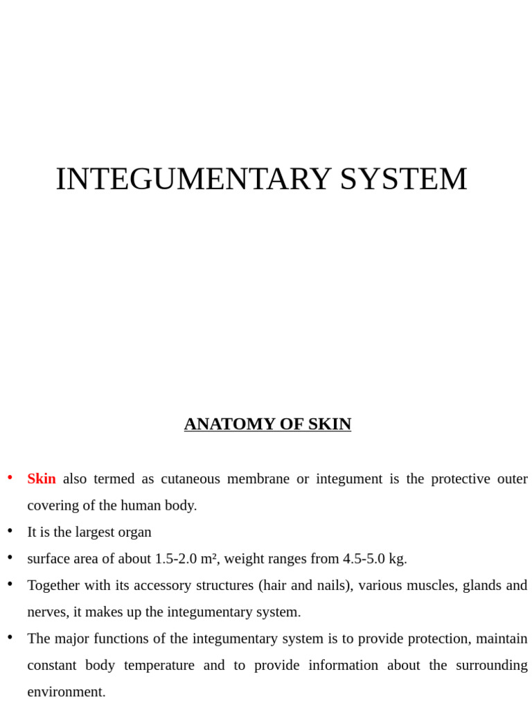 Integumentary System | PDF | Integumentary System | Skin