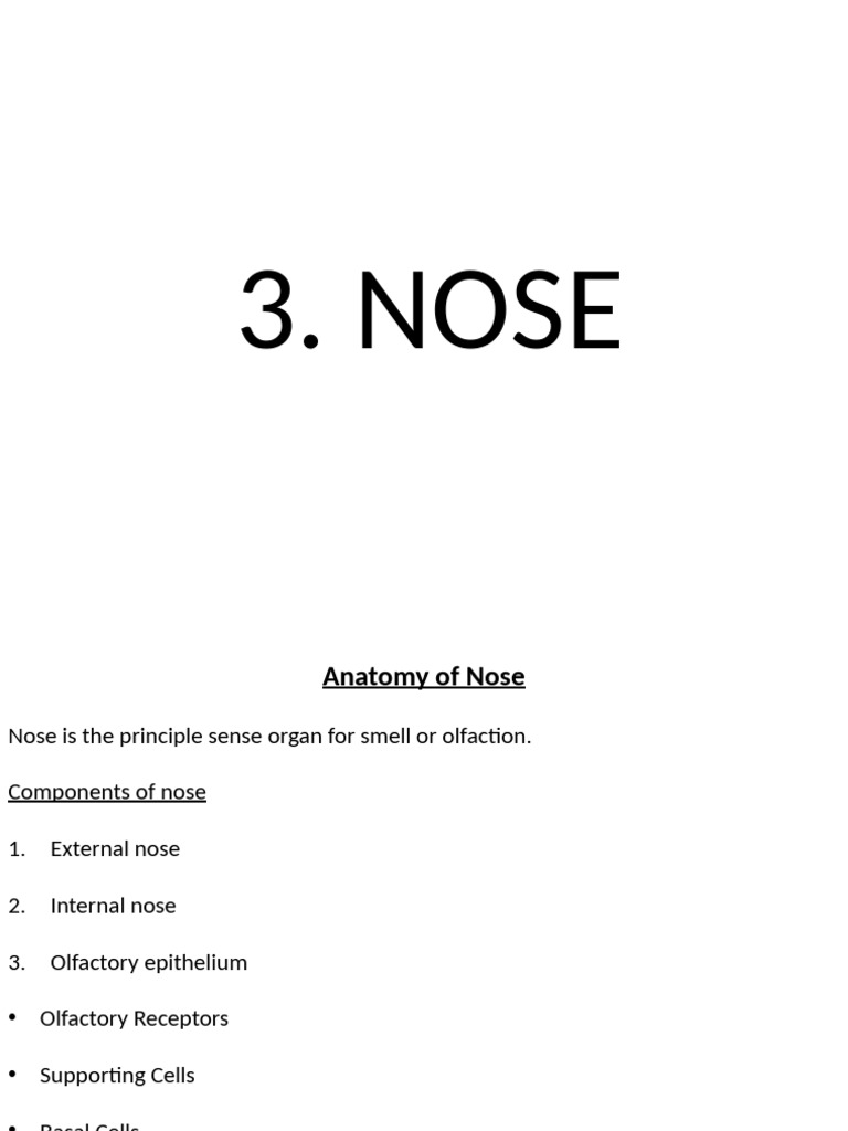Nose | PDF | Human Nose | Rhinology