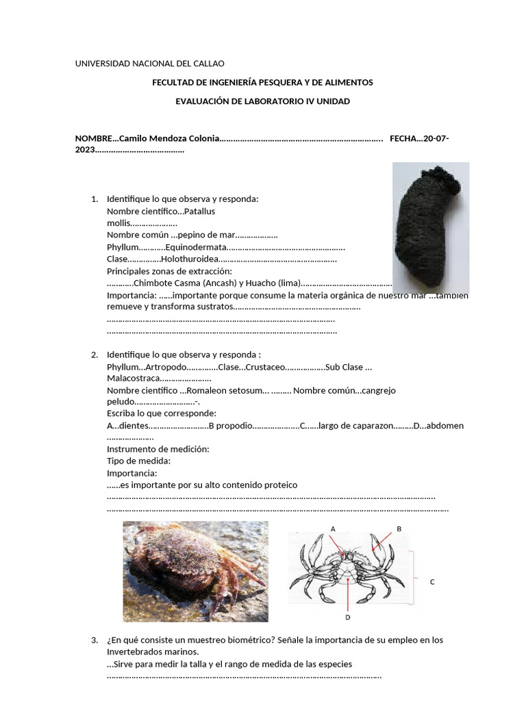Evalua. Lab RHI 4 Unidad 2023 A Resuelto | PDF