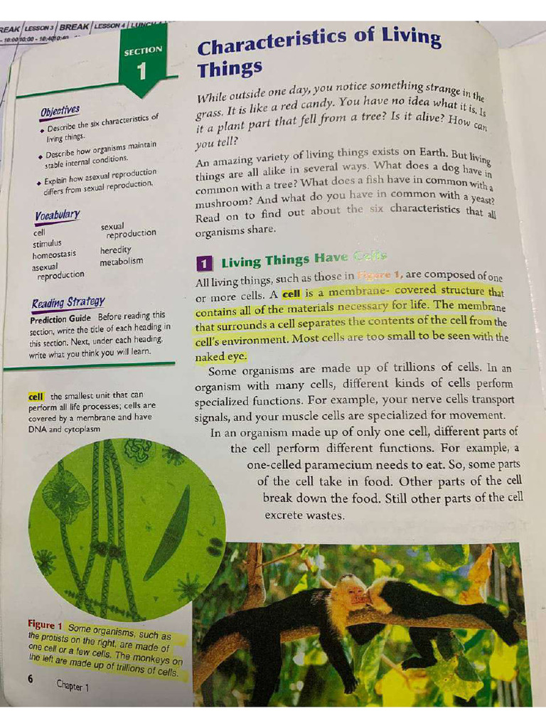 g7 Science Highlights | PDF