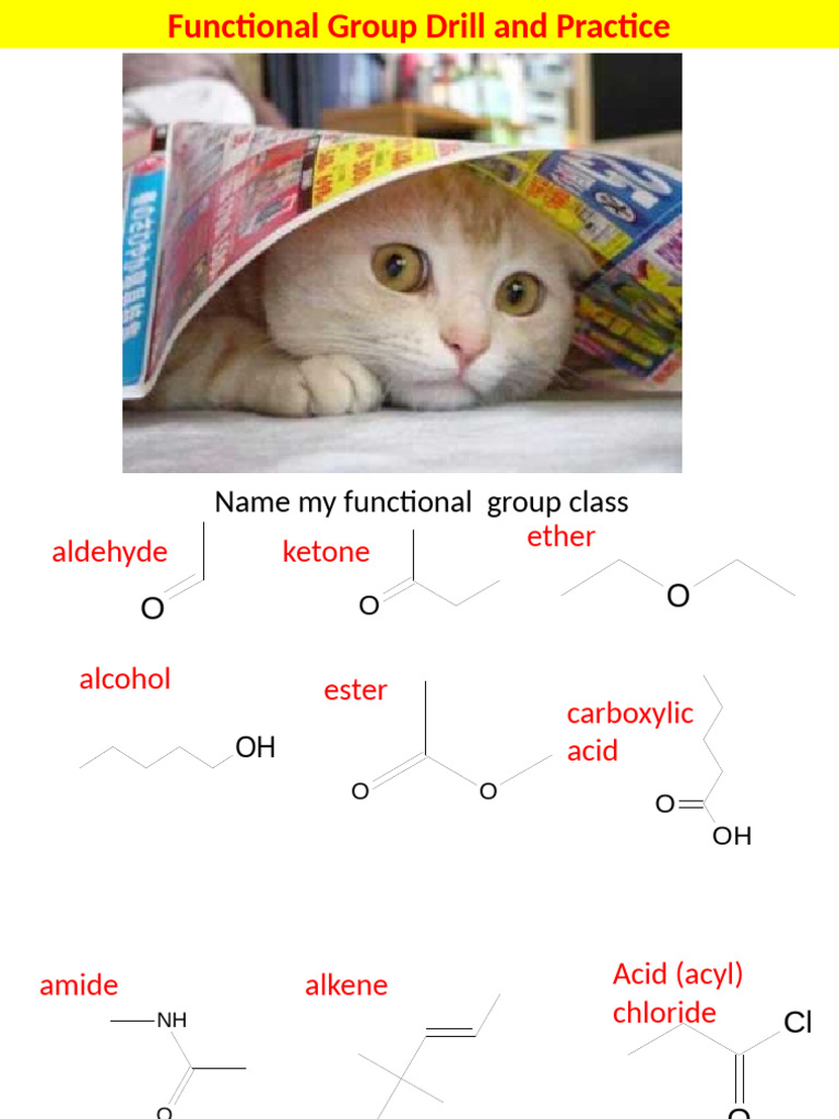 Functional Group Identification Guide | PDF