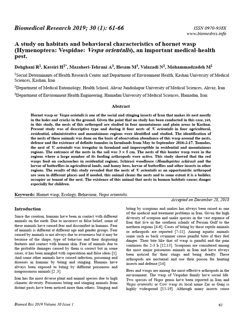 Study On Habitats and Behavioral Characteristics of Hornet Wasp | PDF ...