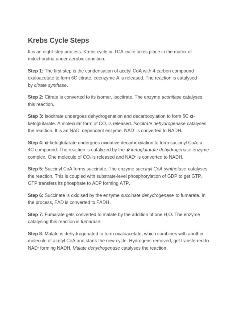 Steps of the Krebs Cycle Explained | PDF