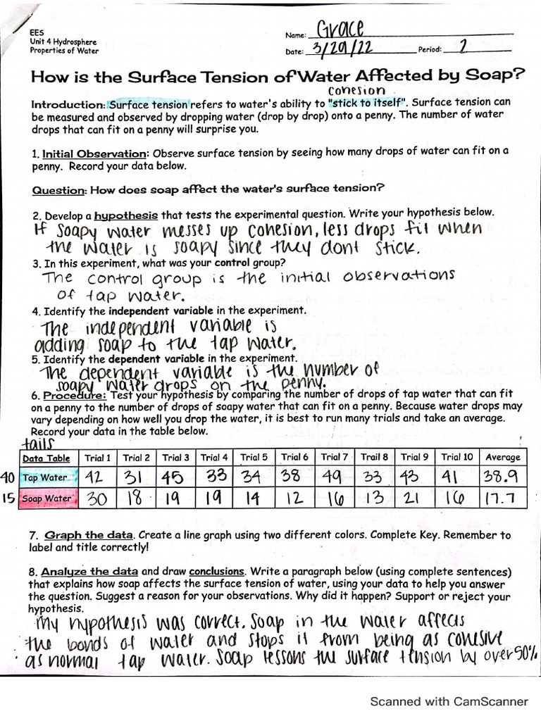 Surface Tension Lab | PDF