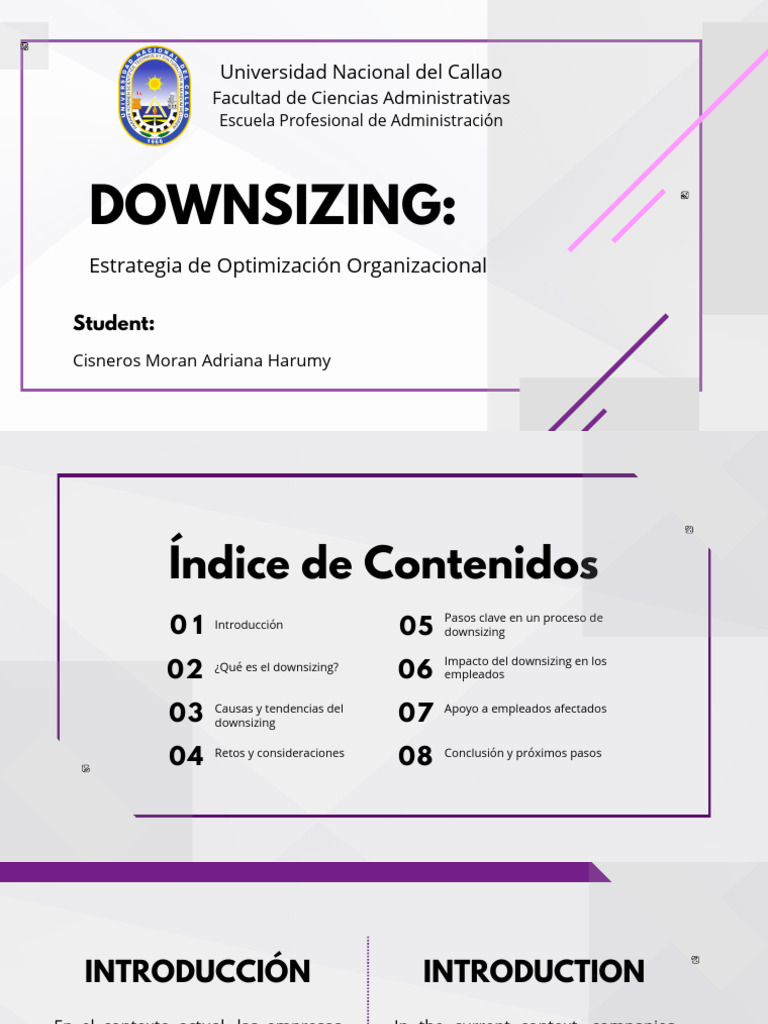 Estrategia de Downsizing Efectiva | PDF | Economias | Las emociones
