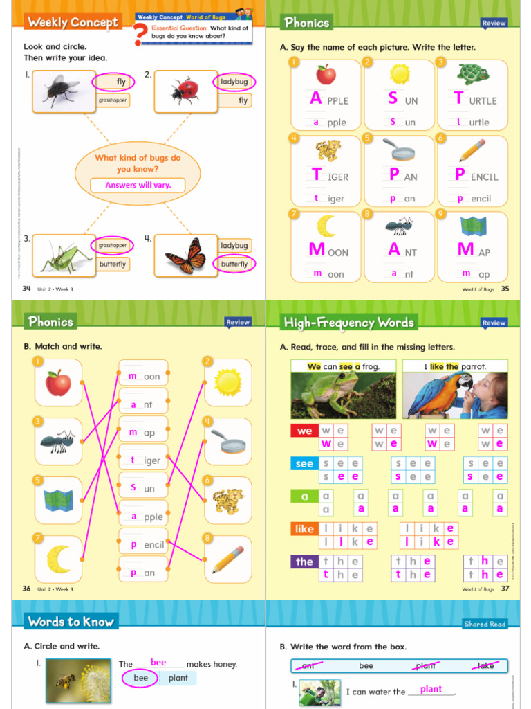 Unit 2 Week 3 Practice Book Answer Key | PDF