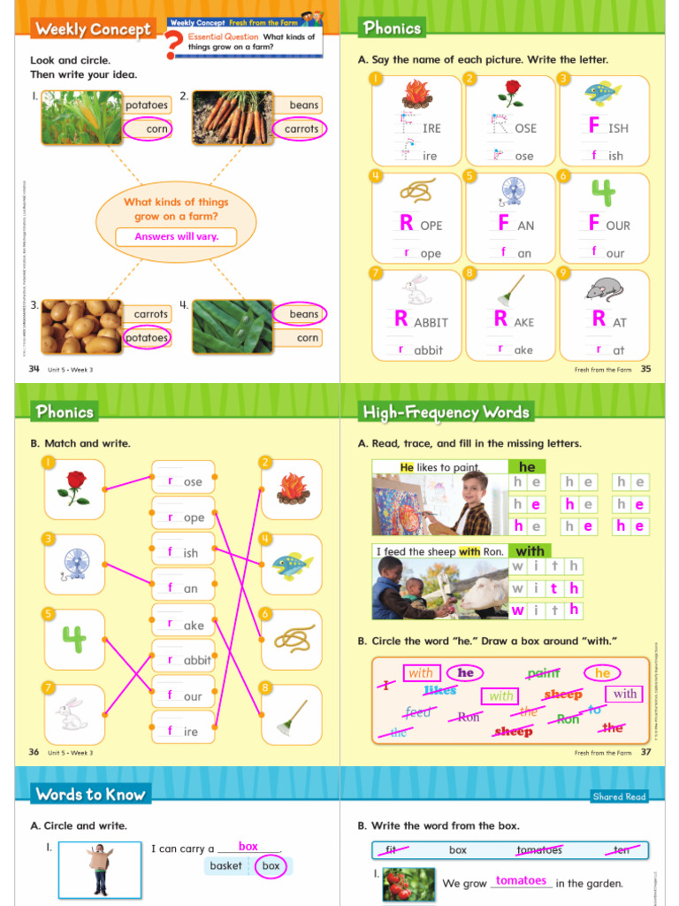 Unit 5 Week 3 Practice Book Answer Key | PDF
