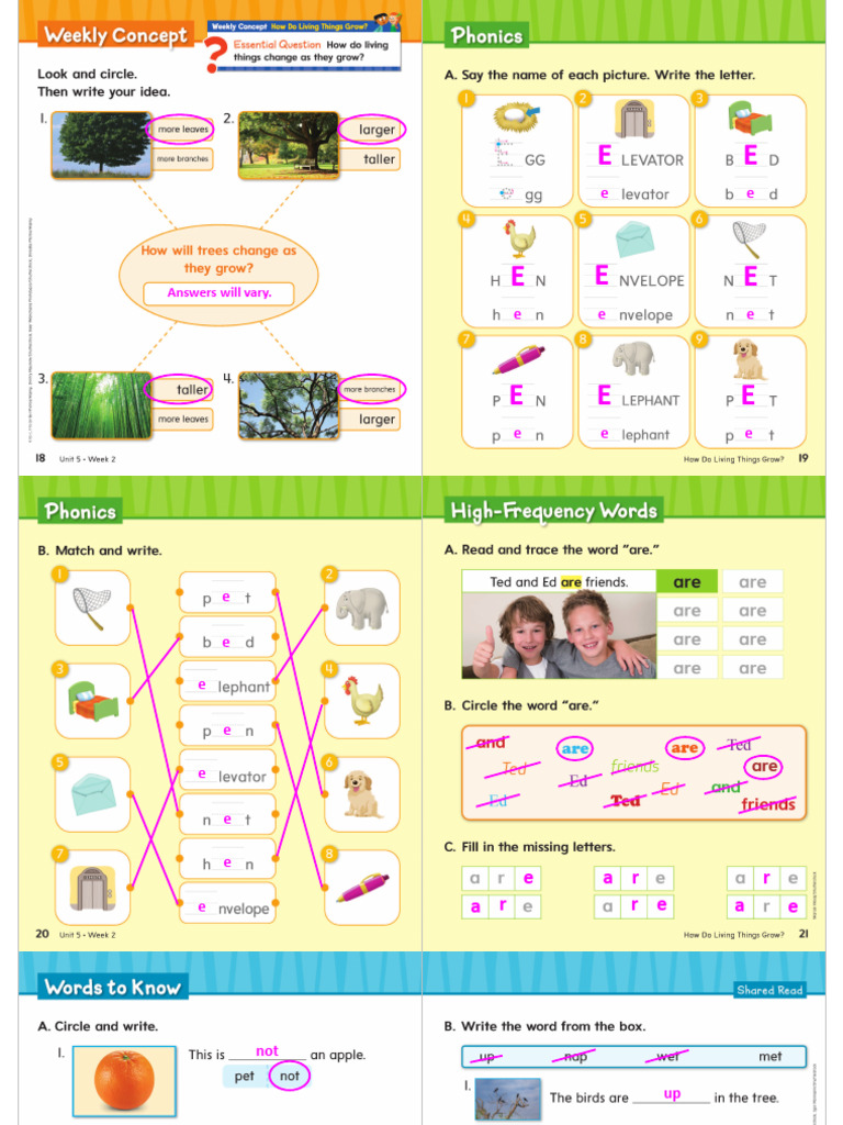 Unit 5 Week 2 Practice Book Answer Key | PDF