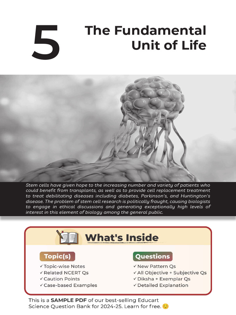 Biology (CH 5) - The Fundamental Unit of Life | PDF | Endoplasmic ...