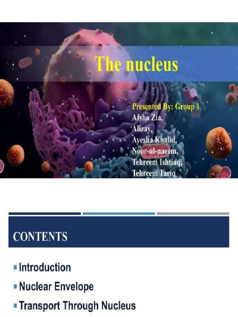 The Nucleus 2 | PDF