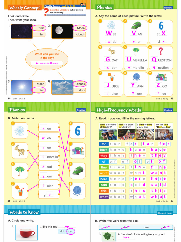 Unit 8 Week 3 Practice Book Answer Key | PDF