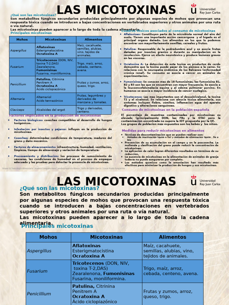 Poster Micotoxina Grupo | PDF | Micotoxinas | Toxicología