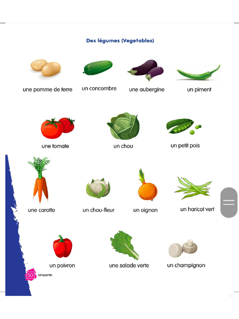 French For Beginners. (Exercise and Notes) | PDF