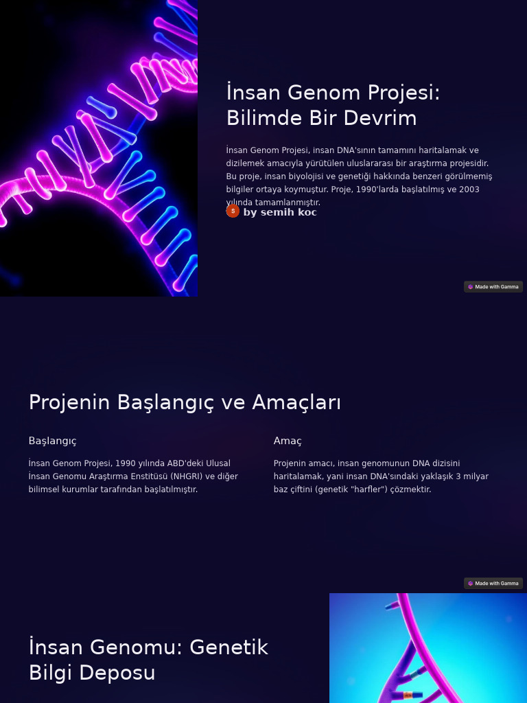 Insan Genom Projesi Bilimde Bir Devrim | PDF