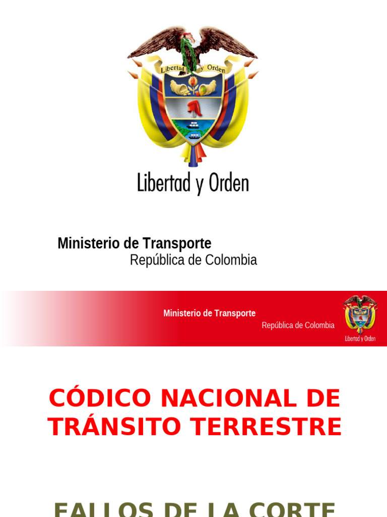 Fallos Codigo de Transito | PDF