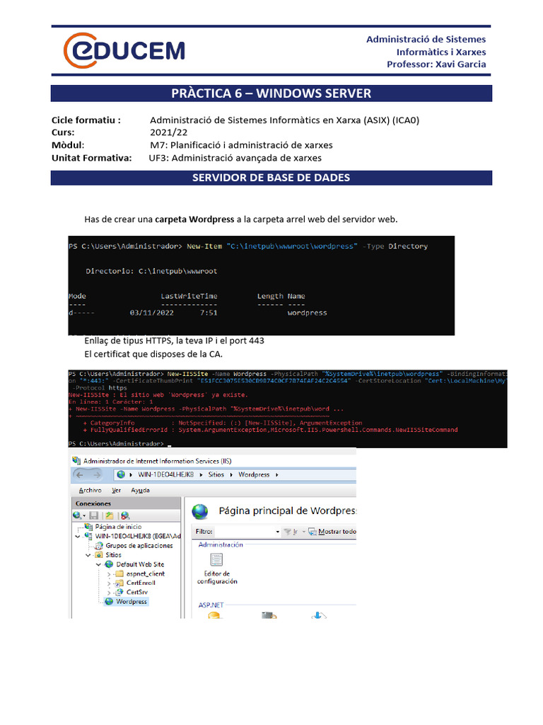 Practica 6 - Windows Server Database Server | PDF