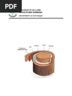 Cours 2-La Paroi Pectocellulosique PDF | PDF | Paroi cellulaire | Lignine
