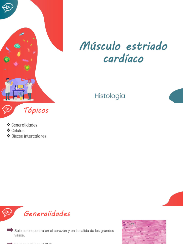 Musculo Estriado Cardiaco | PDF
