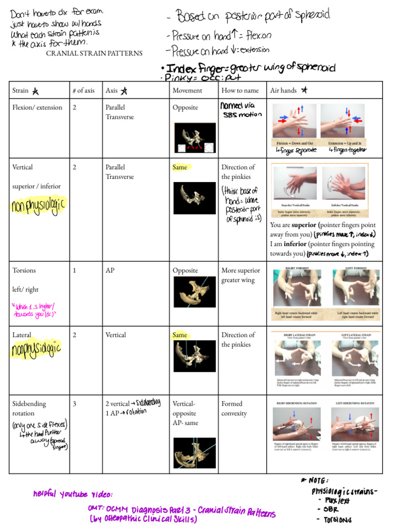 Cranial Strain Patterns Notes | PDF | Anatomical Terms Of Motion ...